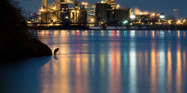 Join the Understanding Light Photo Contest and win Craftsy $500 Credit ...